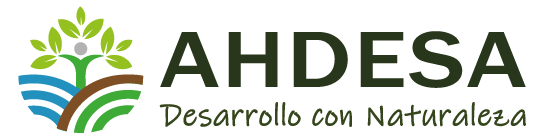 Programa de Estufas/Ecofogones Justas – AHDESA